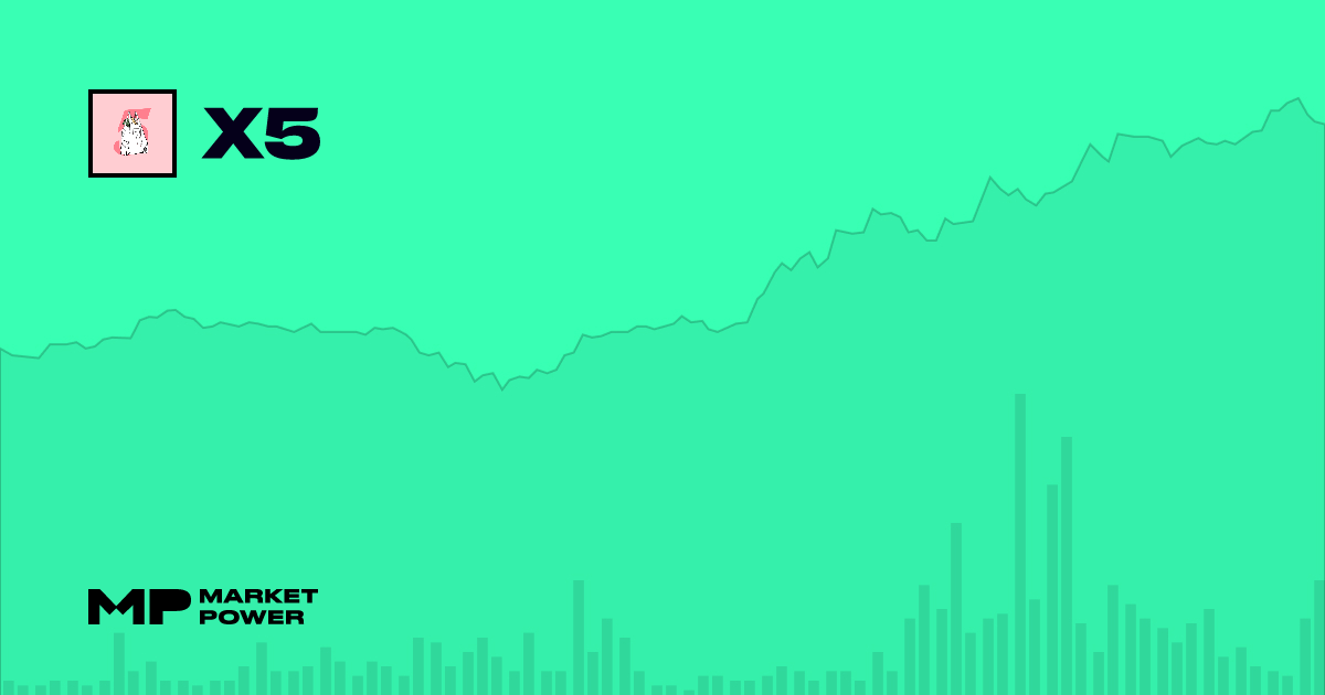 X5 Group – обзор компании Market Power